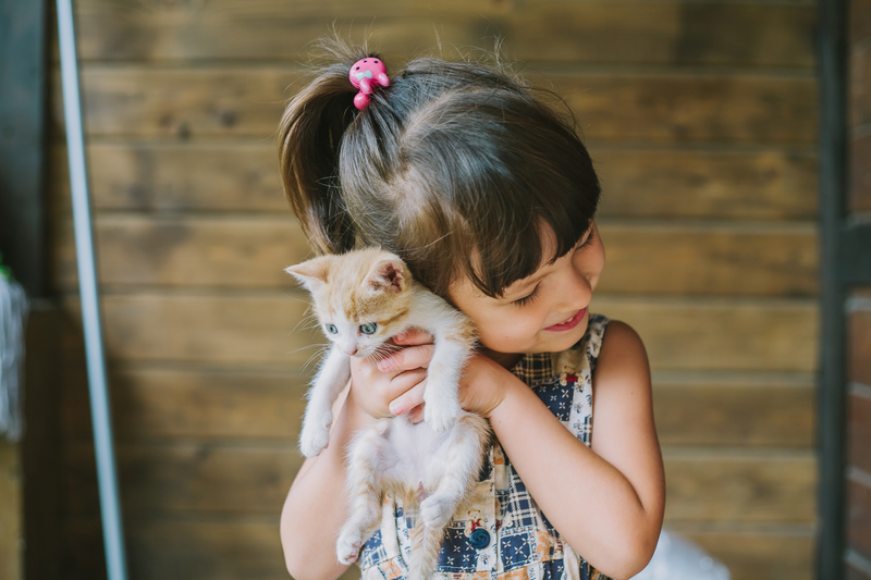 Country Cat Names | Nameberry