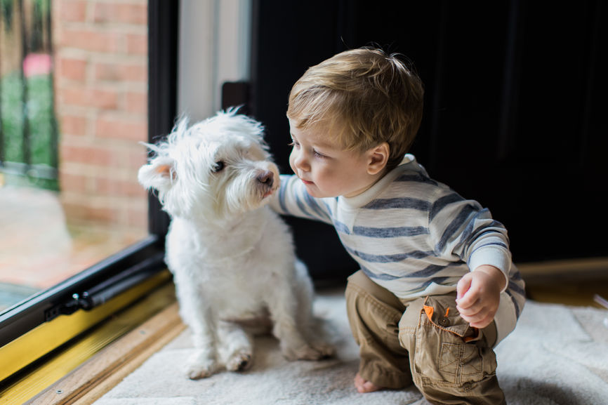 1273 Boy Names That Start With D (with Meanings and Popularity) | Nameberry