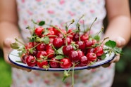 Girl Names That Start With C Nameberry Girl Names That Start With C Nameberry