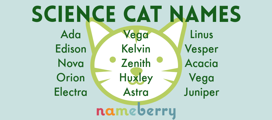 Science Cat Names | Nameberry