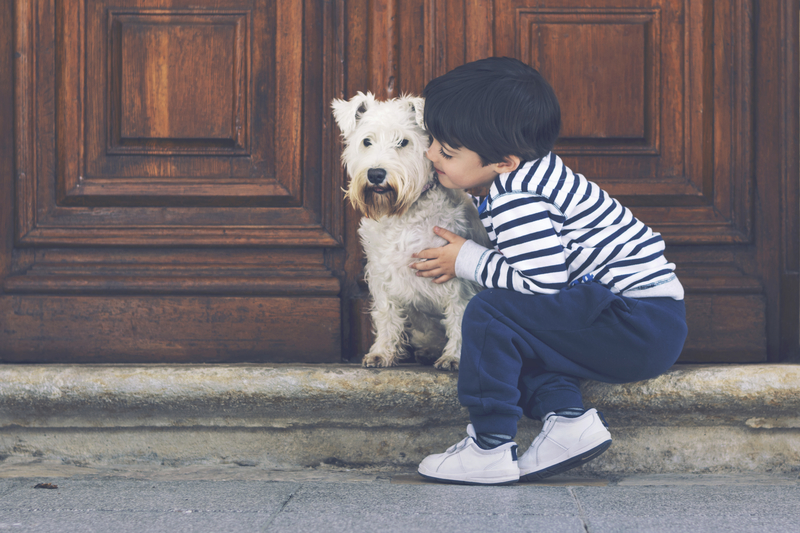 Happy Names for Pets | Nameberry