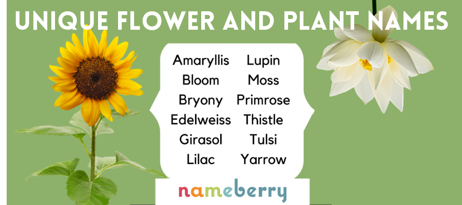 Unique Nature Names | Nameberry