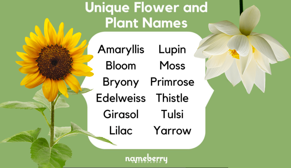 Unique Nature Names | Nameberry