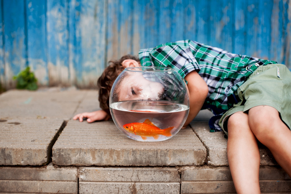 Goldfish Names - Page 3 | Nameberry