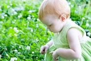 400 Irish Last Names With Meanings And Popularity Nameberry